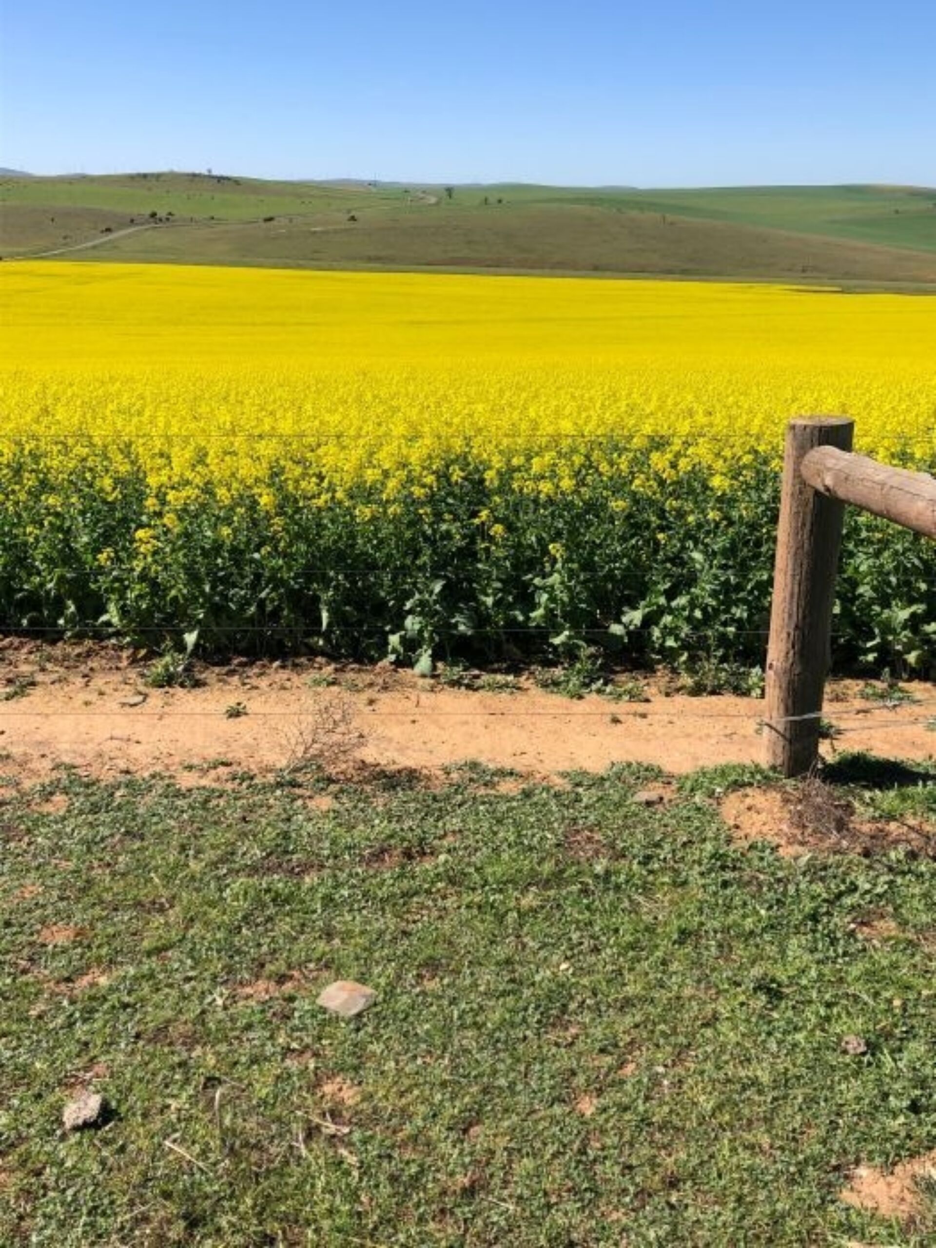 Introducing Evelyn Tilley, Burgmann College's inaugural Harriet Nixon Scholar | Burgmann College