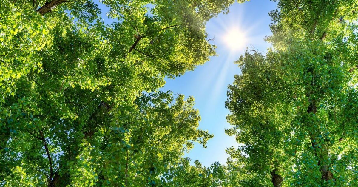 Class Notes are here to connect you | Burgmann College