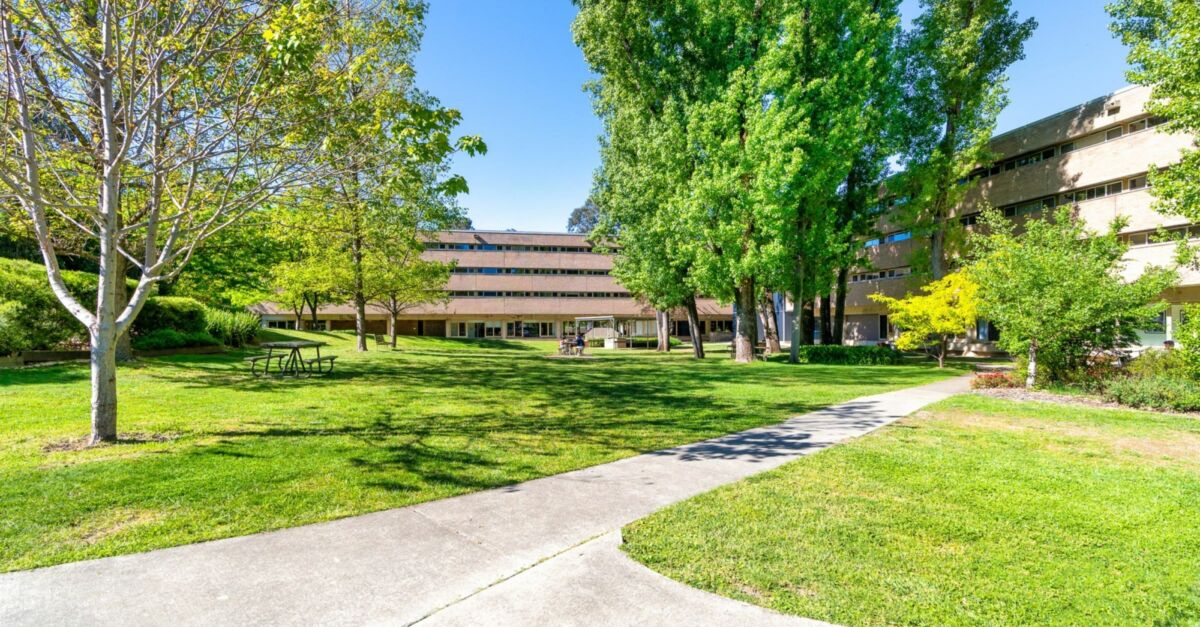 BCAA Committee | Burgmann College